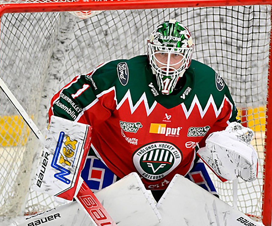 Publiksnittet i SHL som förklarar miljonflödet | Idrottens Affärer